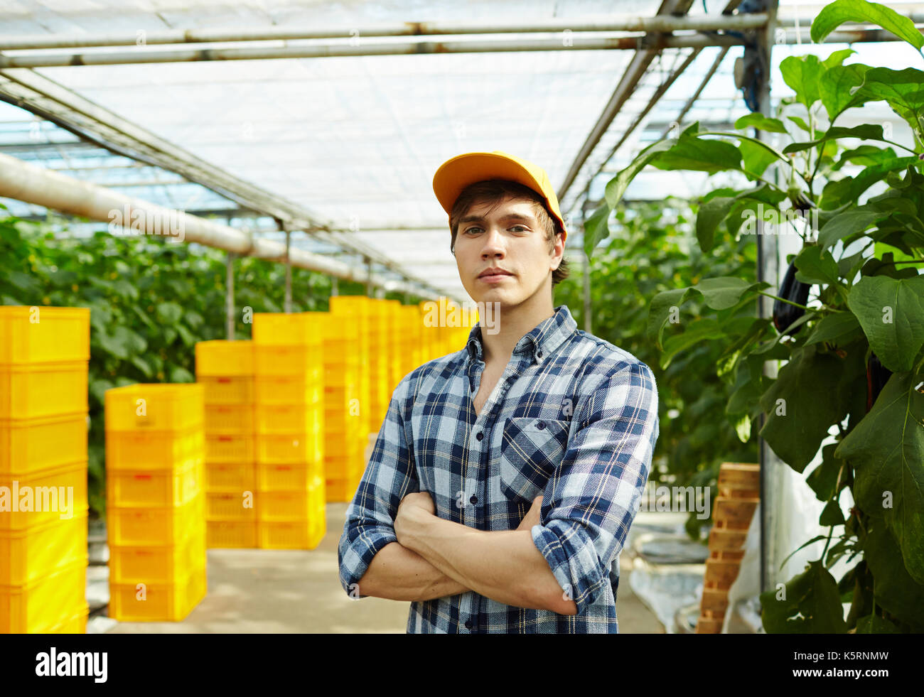 Handsome farmer hi-res stock photography and images - Alamy
