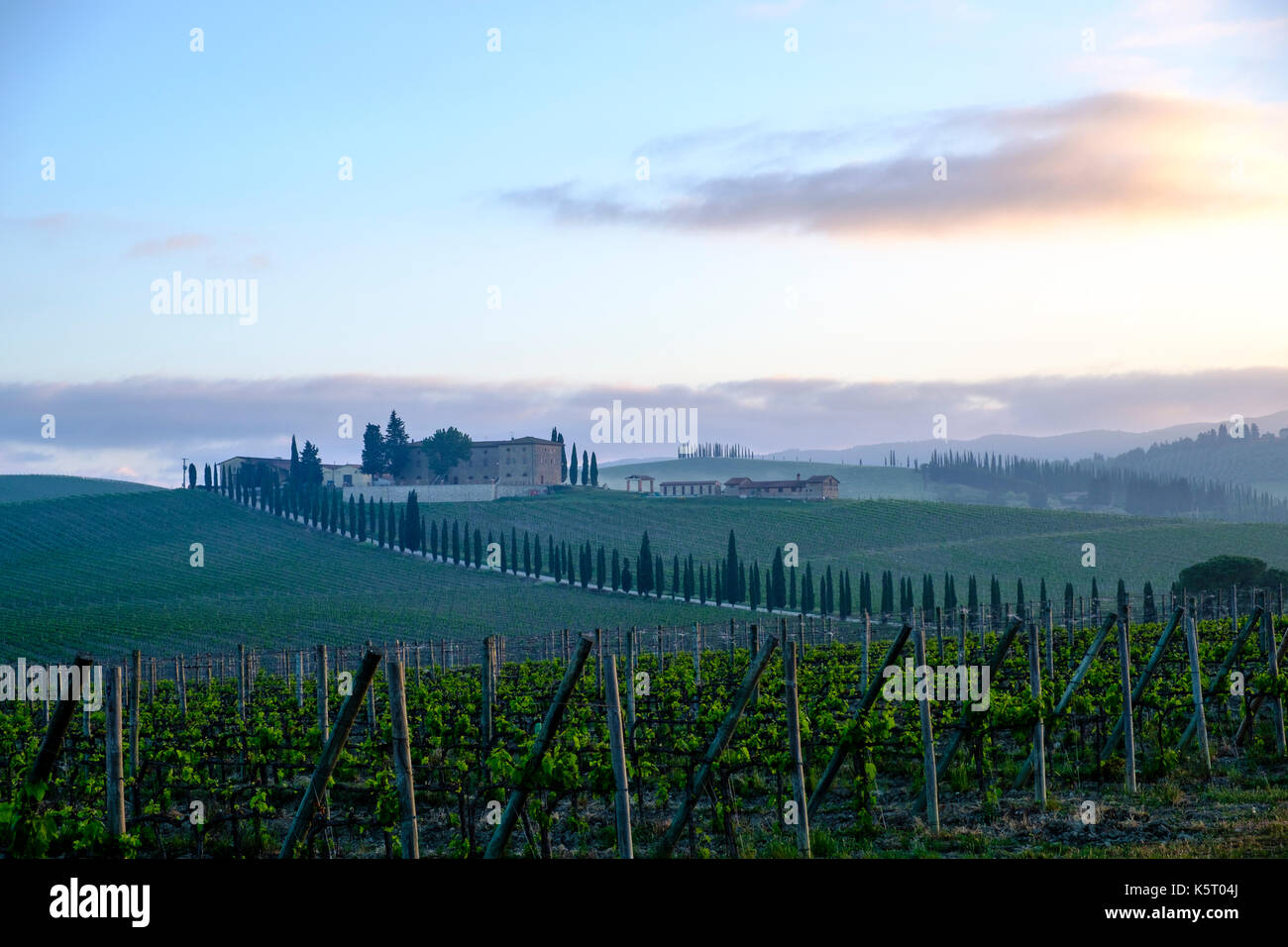 Typical tuscanian landscape with a farmhouse on a hill, vineyards ...