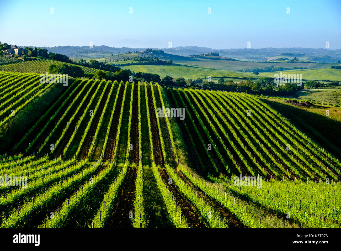 Typical tuscanian landscape with a farmhouse on a hill and large ...