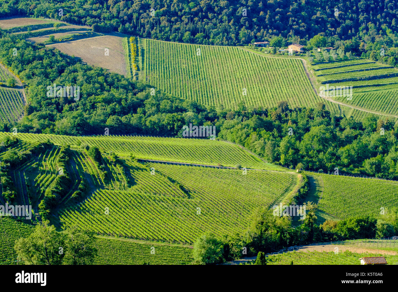 Typical tuscanian landscape with farmhouses, green hills, trees and ...