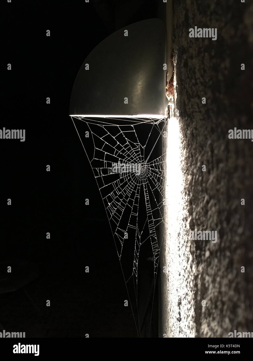 Cobweb empty hi-res stock photography and images - Alamy