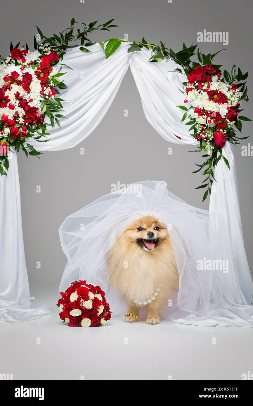 Flower skirts hi-res stock photography and images - Alamy