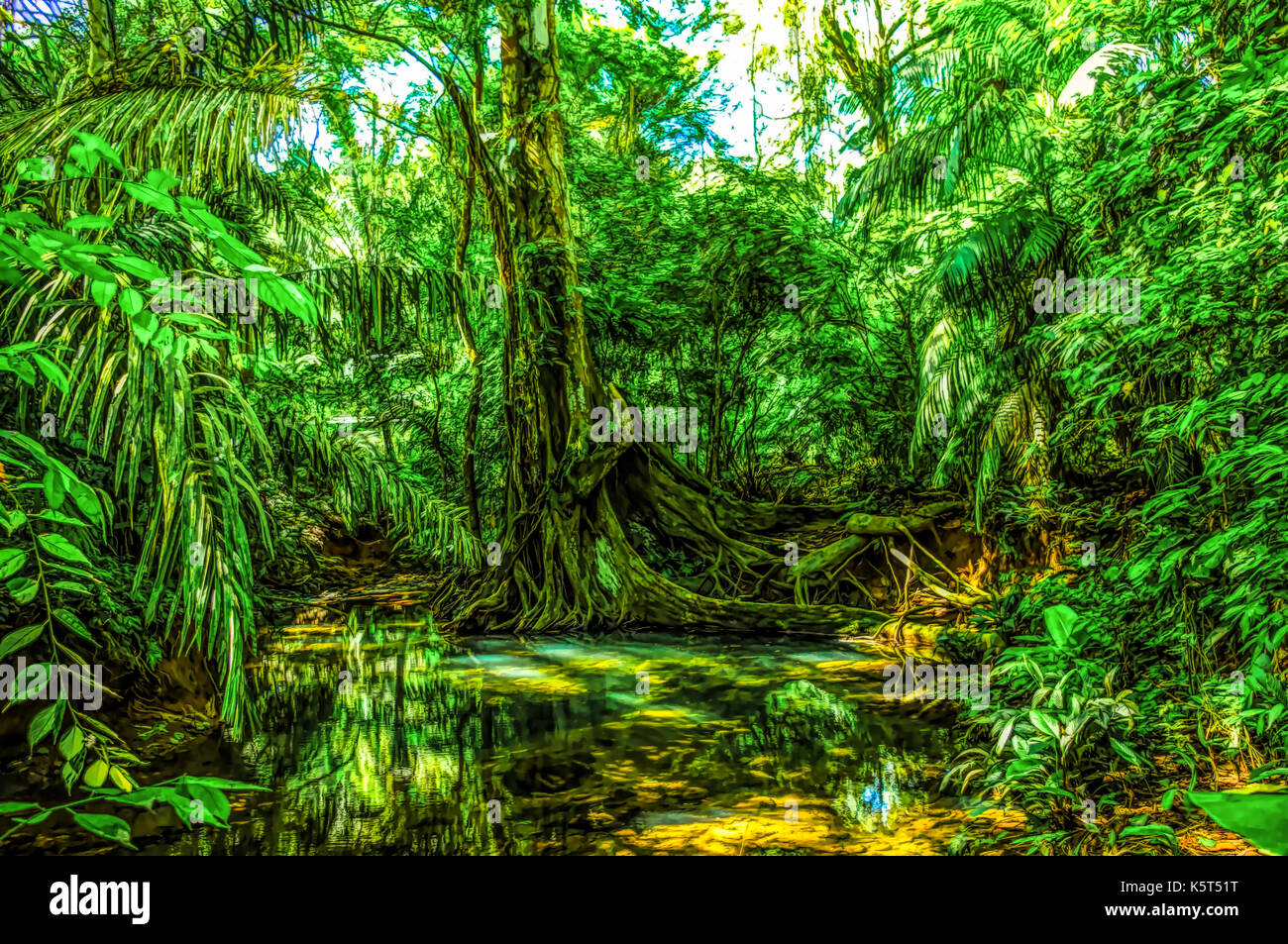 Rain forest landscape scene illustration Stock Photo - Alamy