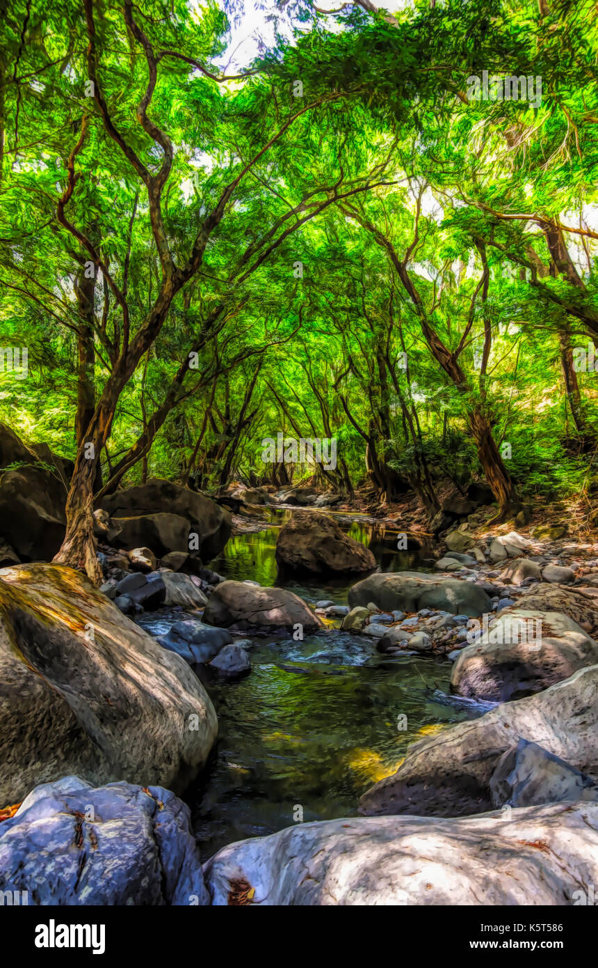 Rain forest creek small river landscape scene illustration Stock Photo ...