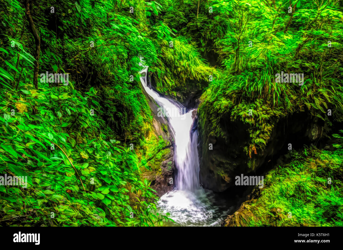 Rain forest landscape scene with small cascade illustration Stock Photo ...