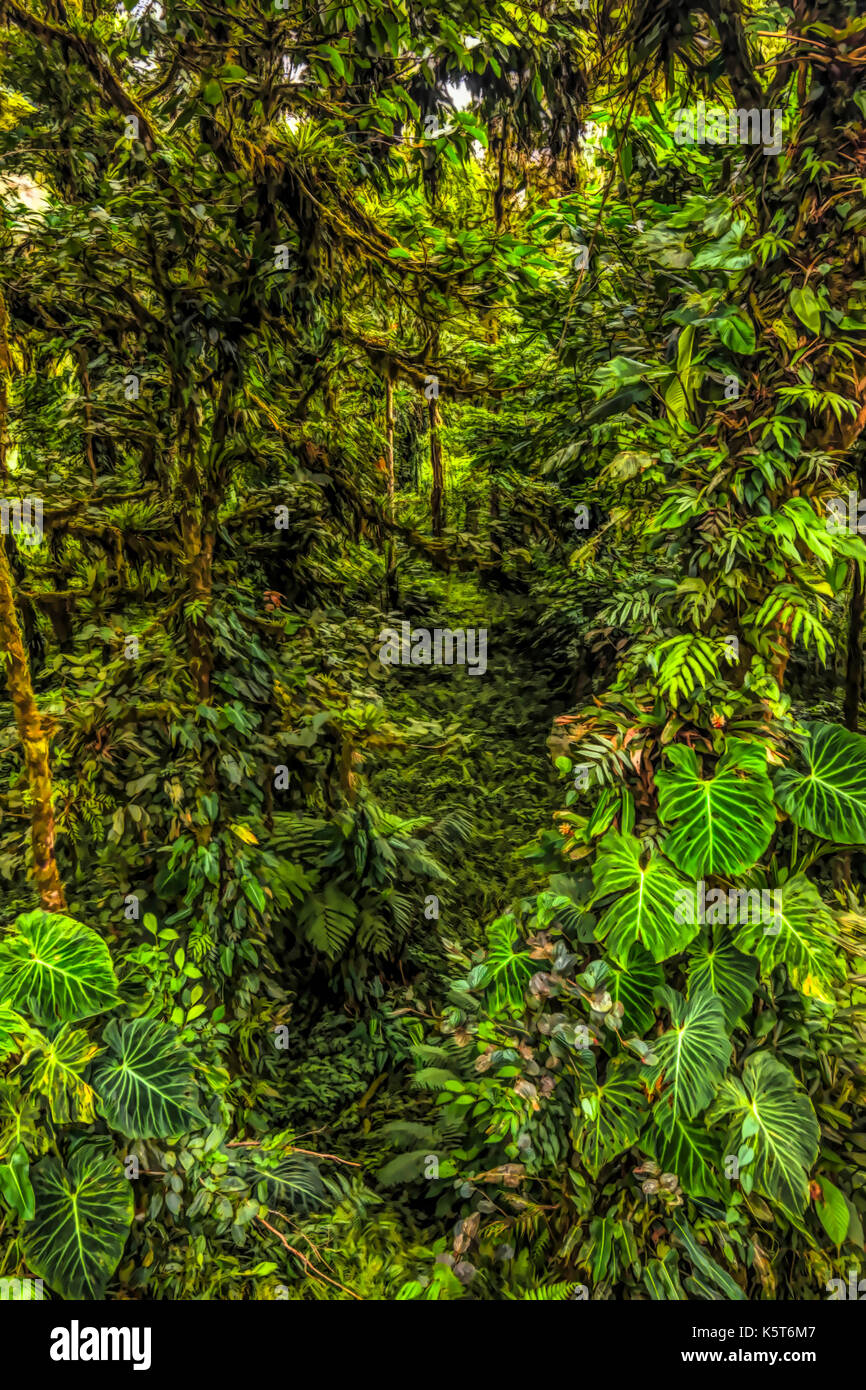 Rain forest landscape scene illustration Stock Photo - Alamy