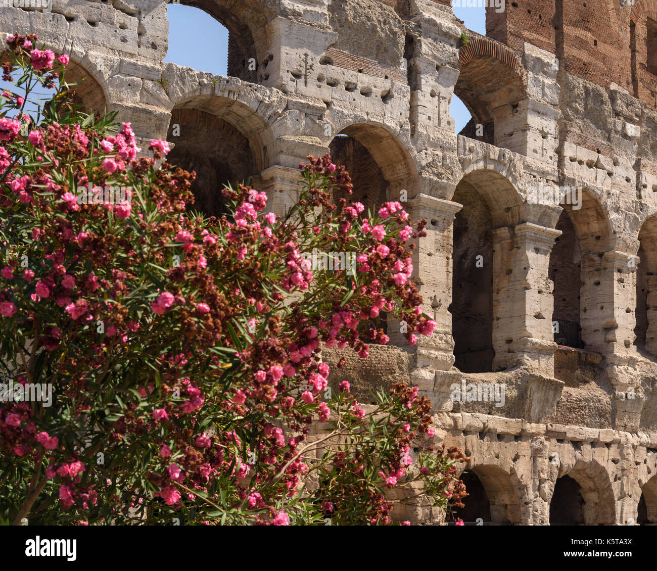 Rome the coliseum detail hi-res stock photography and images - Alamy