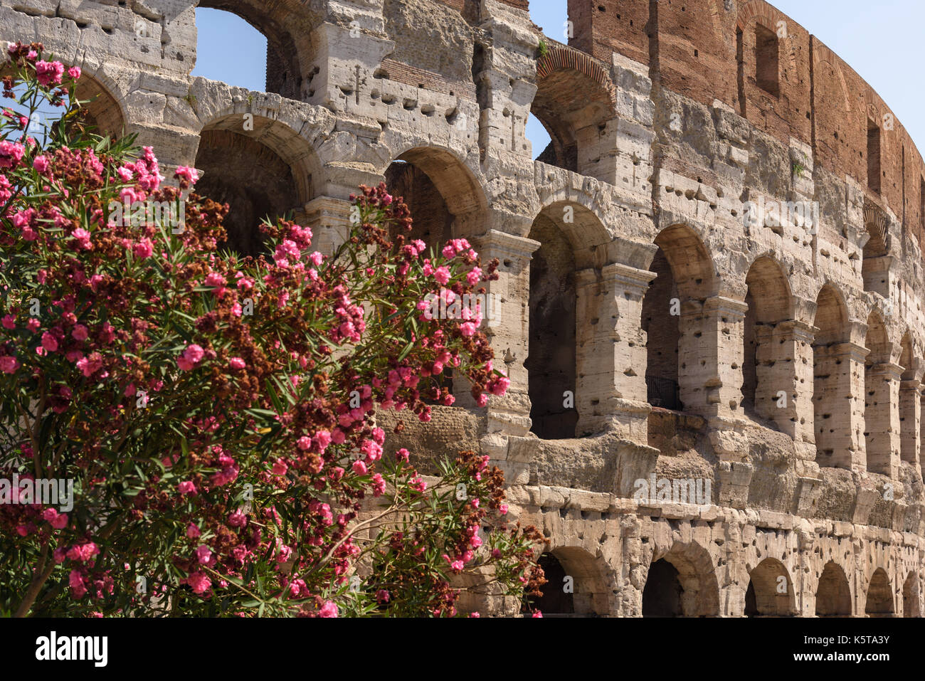 Colosseum roman architecture hi-res stock photography and images - Alamy
