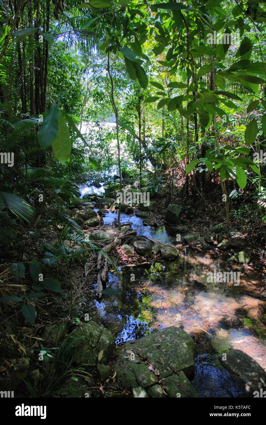 penang natural park, malaysia Stock Photo - Alamy