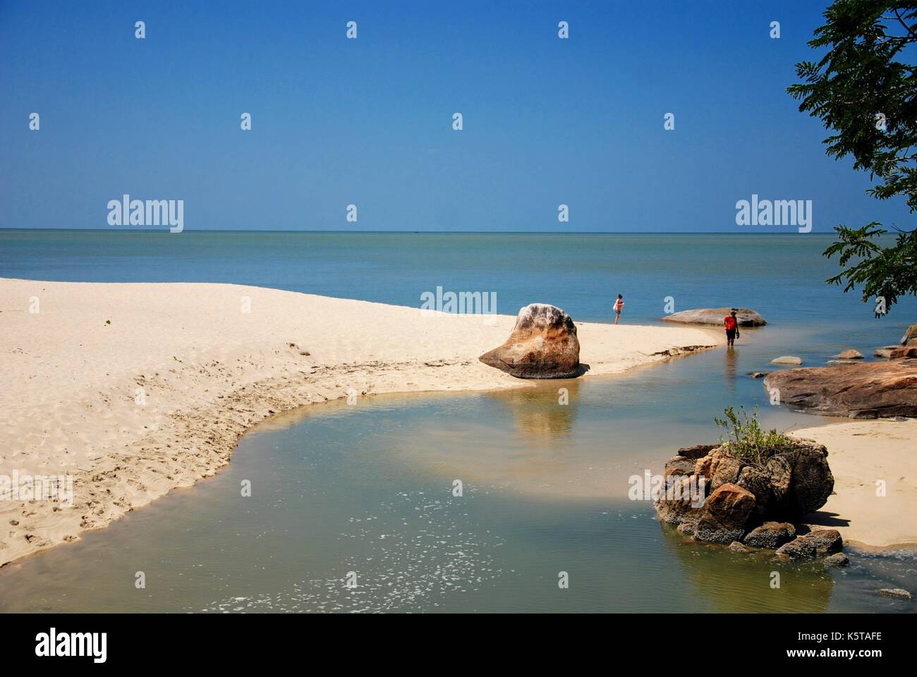 penang natural park, malaysia Stock Photo - Alamy