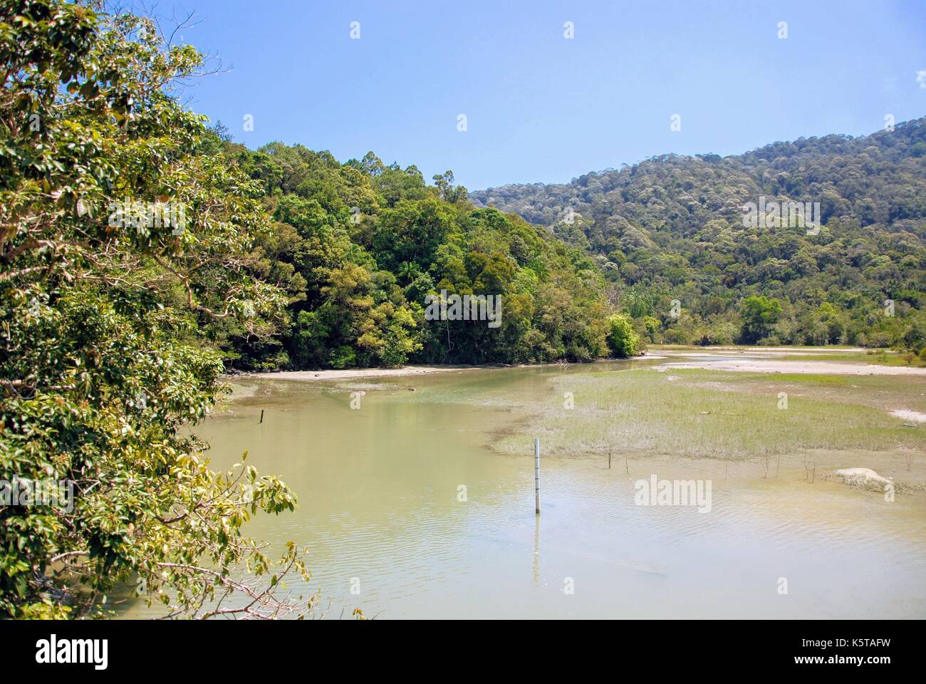 penang natural park, malaysia Stock Photo - Alamy