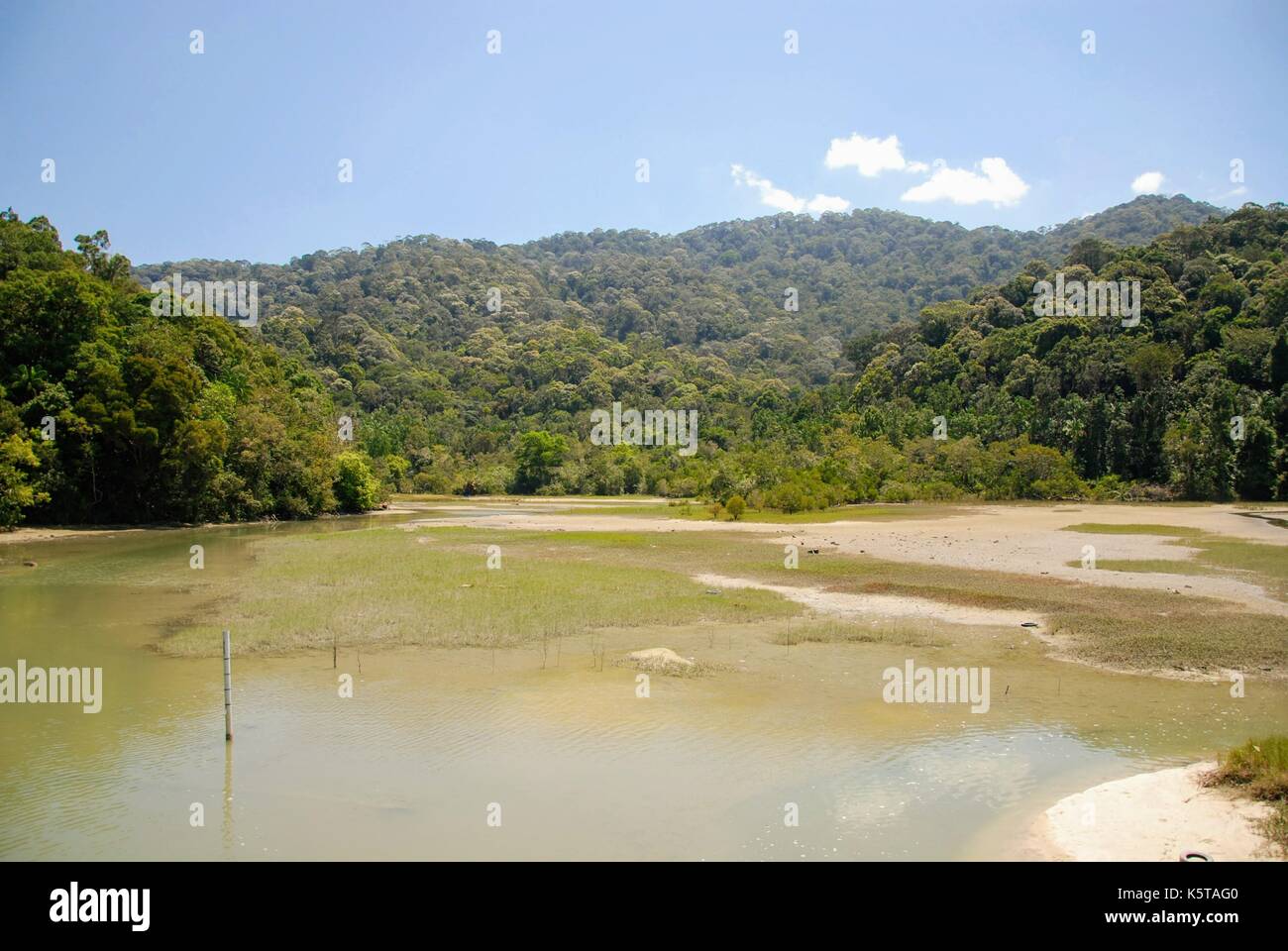 penang natural park, malaysia Stock Photo - Alamy