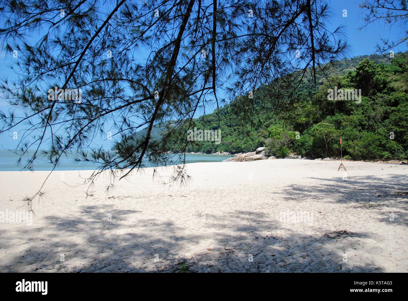 penang natural park, malaysia Stock Photo - Alamy