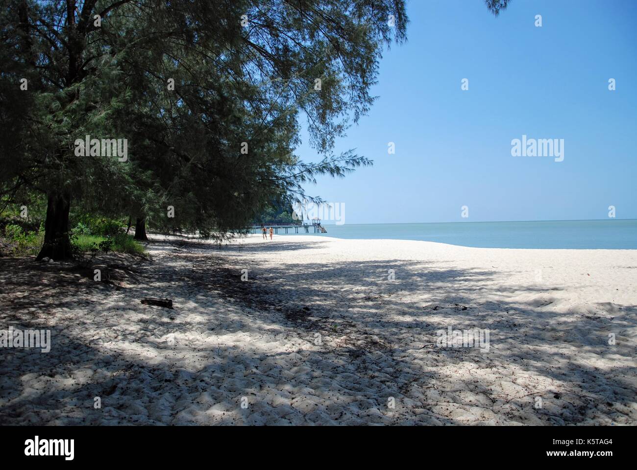 penang natural park, malaysia Stock Photo - Alamy