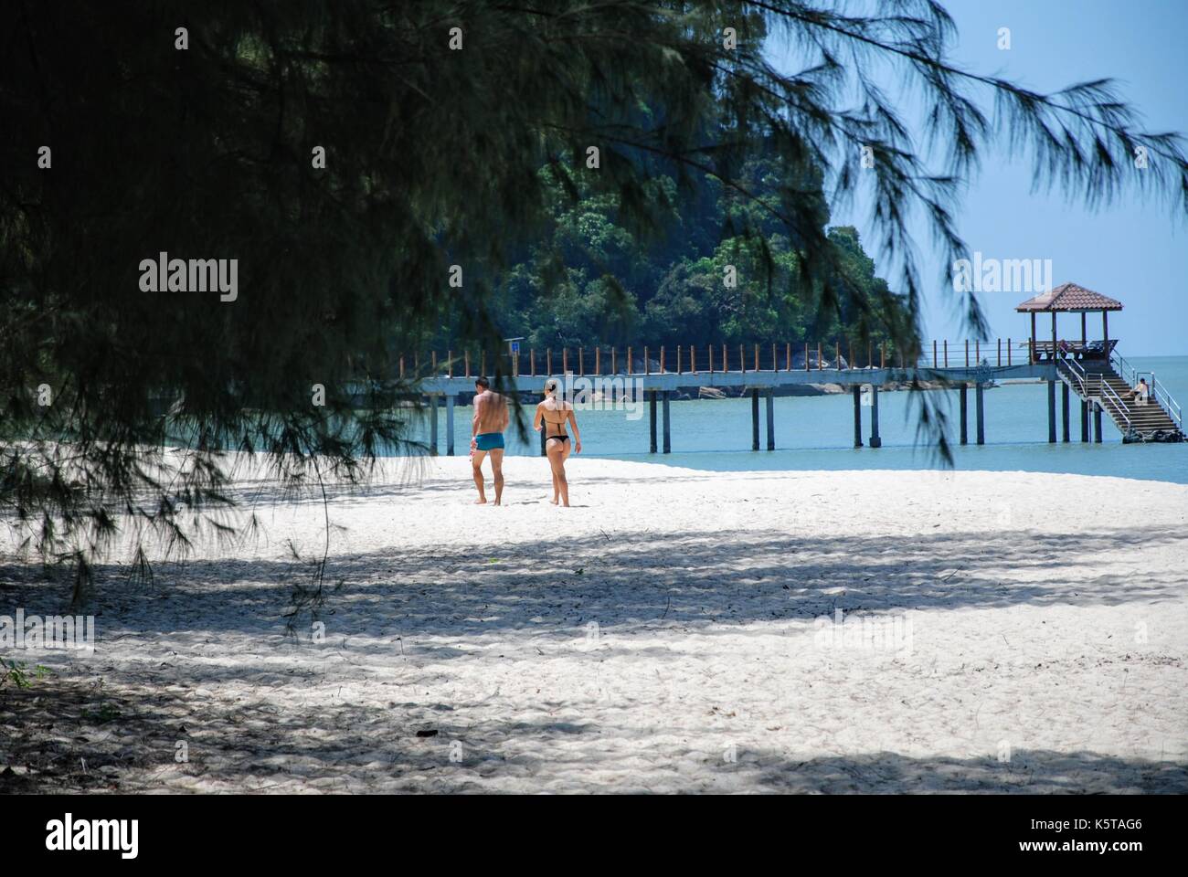 penang natural park, malaysia Stock Photo - Alamy