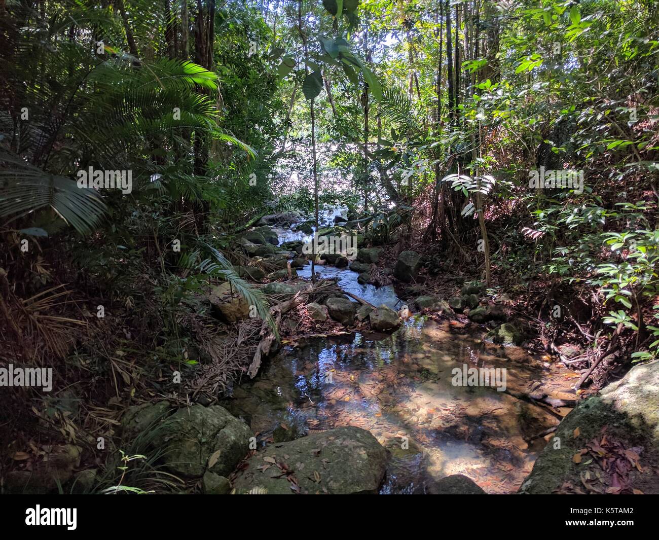 penang natural park, malaysia Stock Photo - Alamy