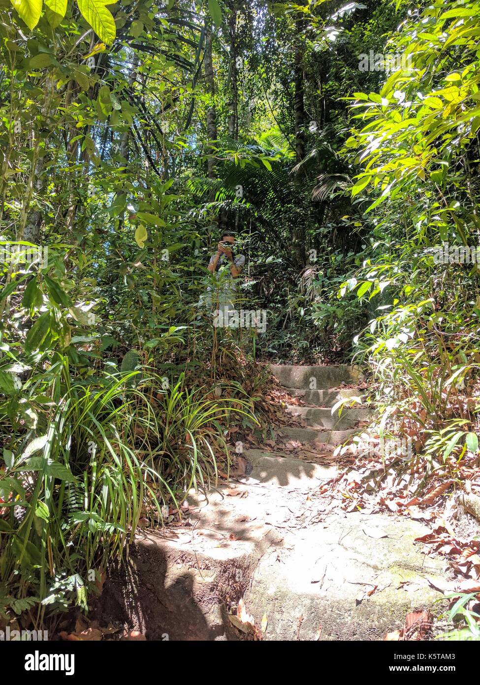penang natural park, malaysia Stock Photo - Alamy