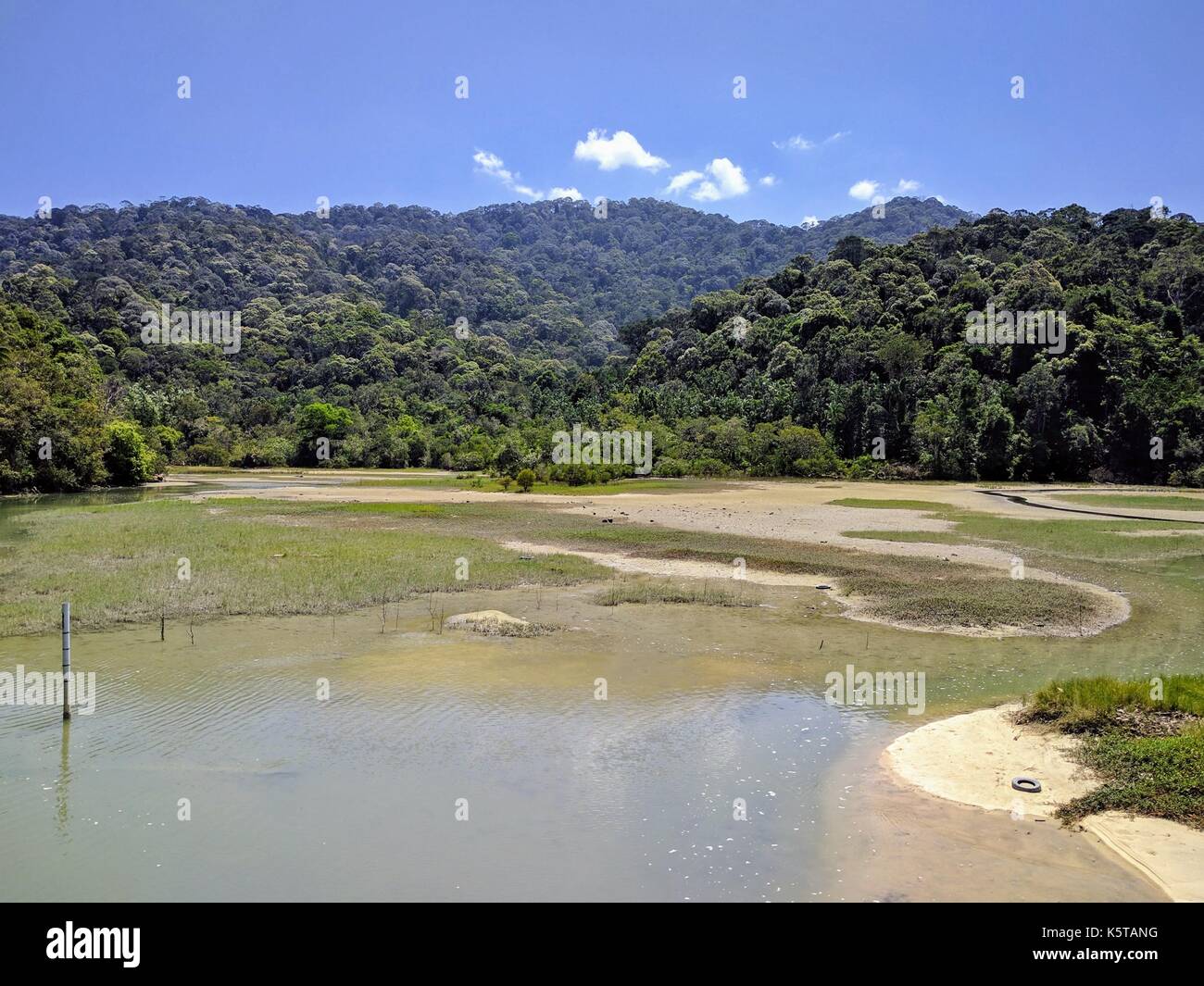penang natural park, malaysia Stock Photo - Alamy