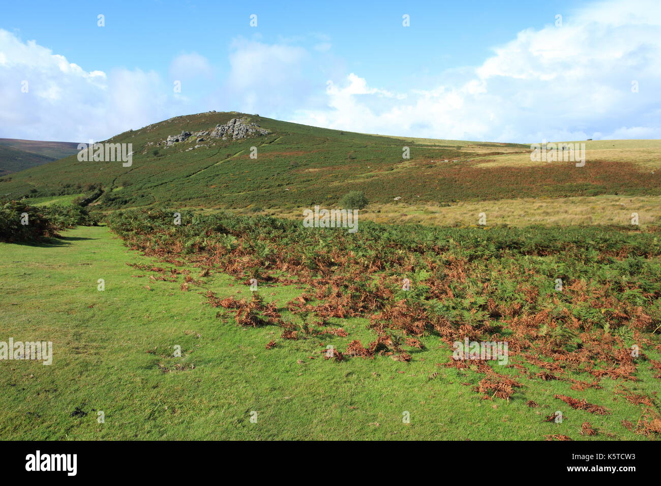 Bell Tor at autumn, Dartmoor, Devon, England, UK Stock Photo - Alamy