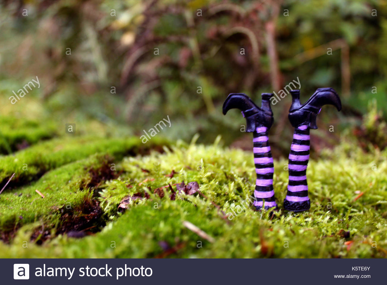 Wicked Witch Wizard Of Oz Stock Photos & Wicked Witch Wizard Of Oz ...