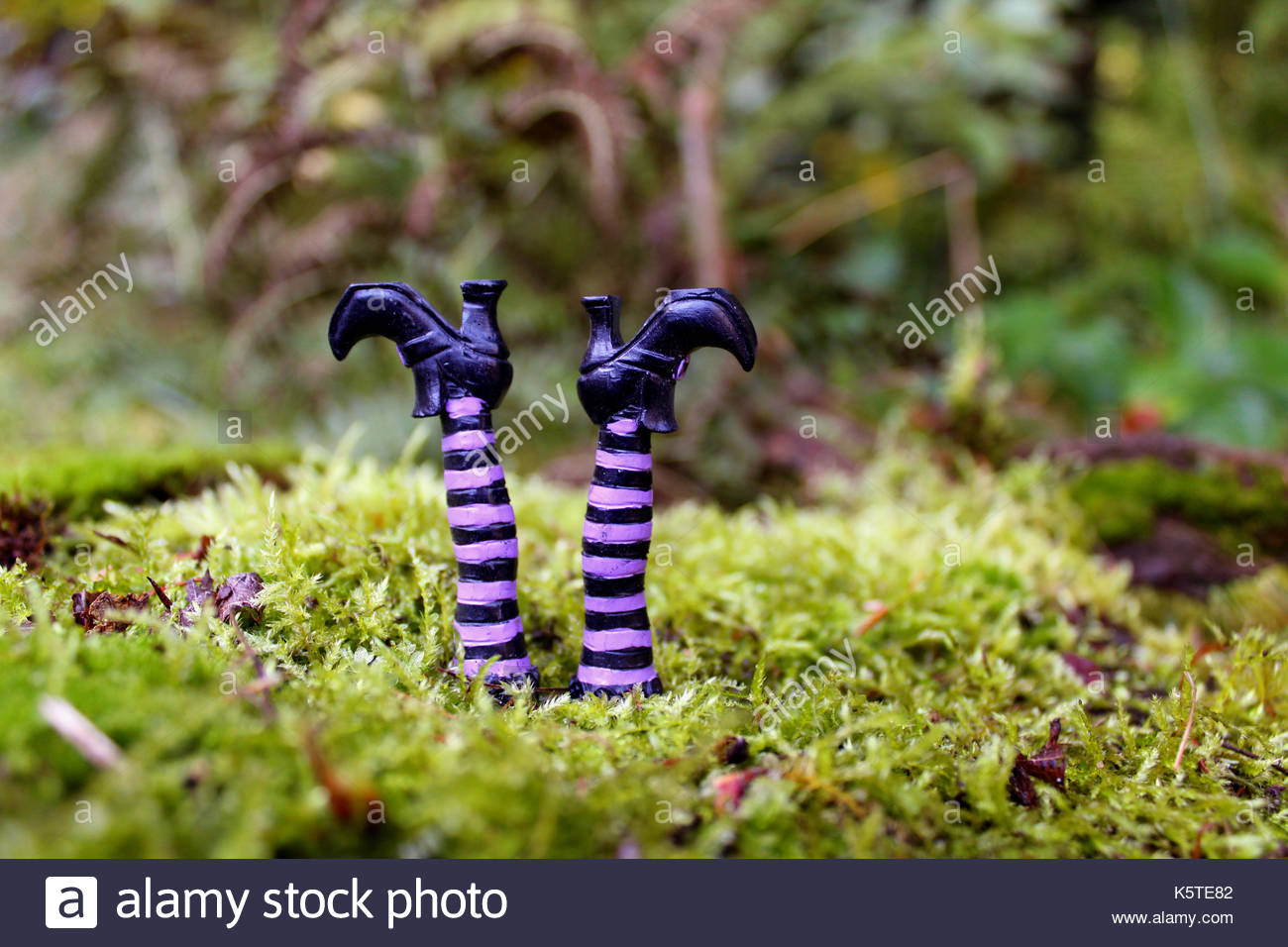 Witches Shoes High Resolution Stock Photography and Images - Alamy