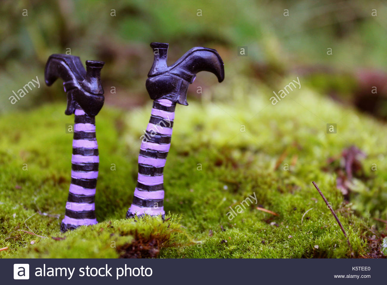 Wicked Witch Wizard Of Oz Stock Photos & Wicked Witch Wizard Of Oz ...