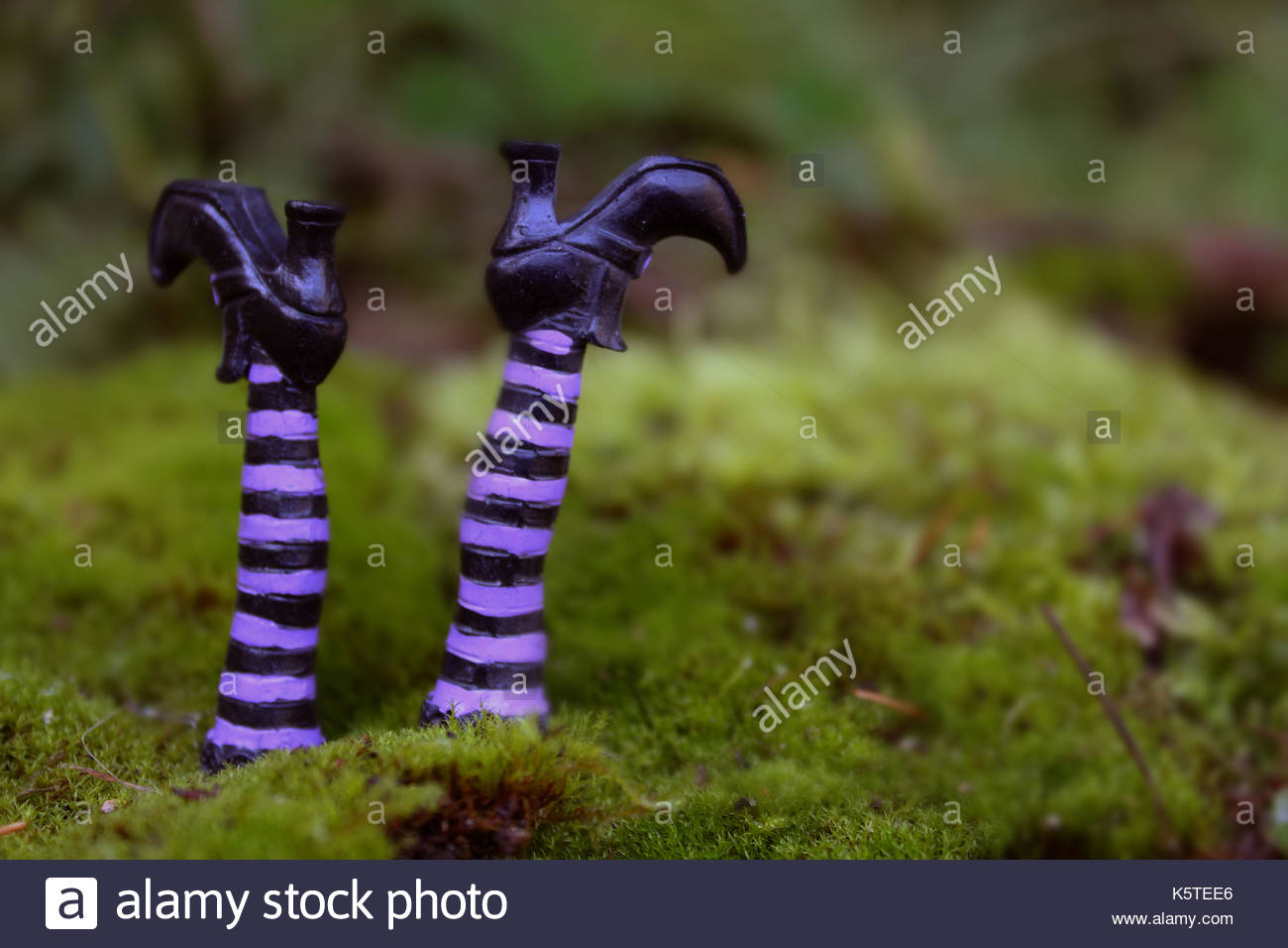 Witches Shoes High Resolution Stock Photography and Images - Alamy