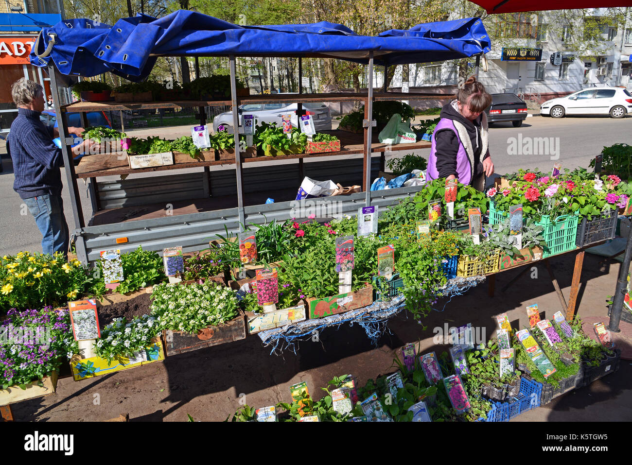 Sprout varieties hi-res stock photography and images - Alamy