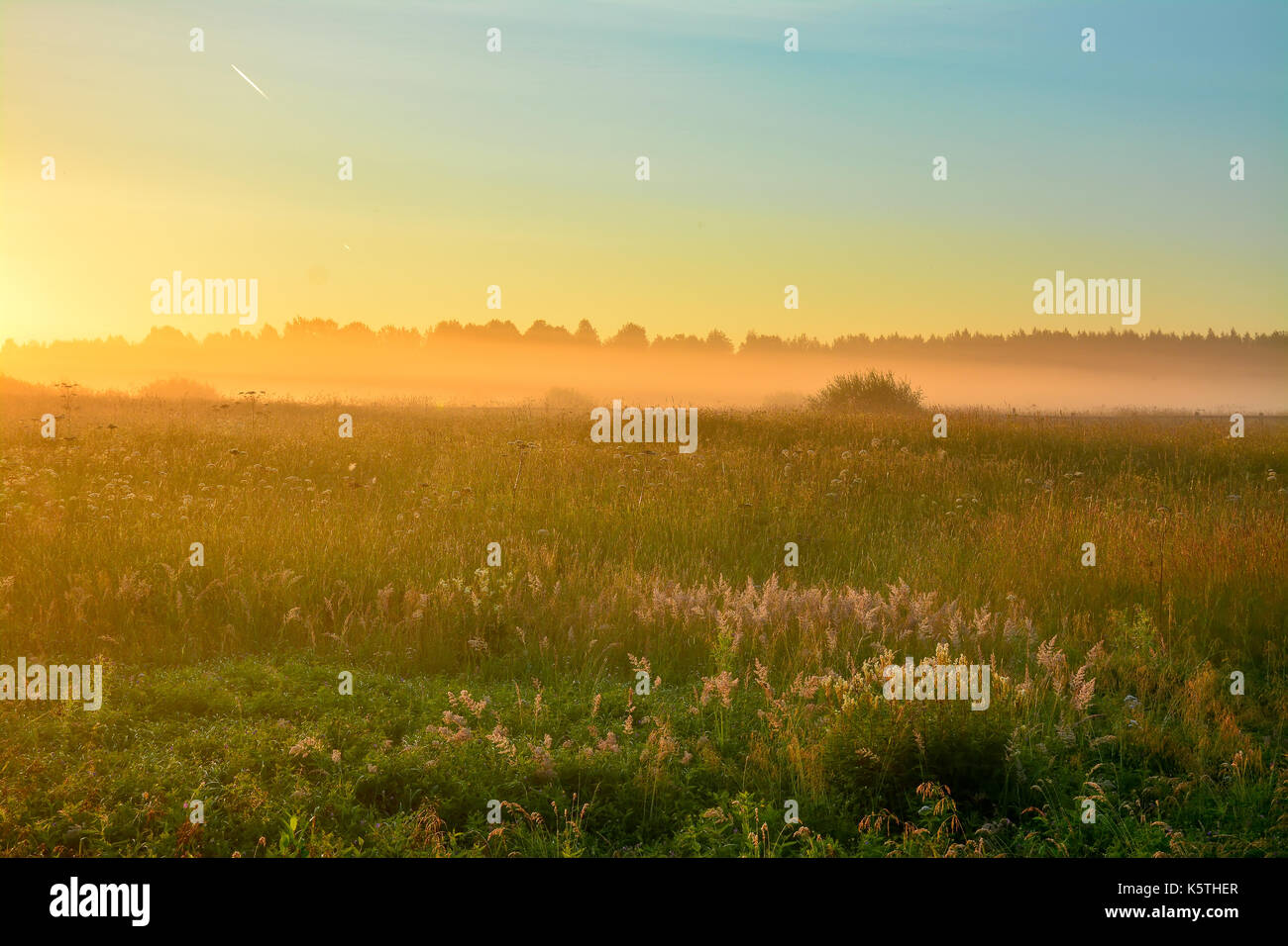 Summer dawn in the countryside Stock Photo - Alamy