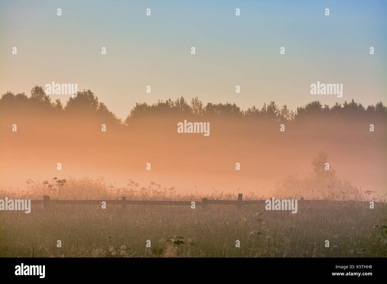 Summer dawn in the countryside Stock Photo - Alamy