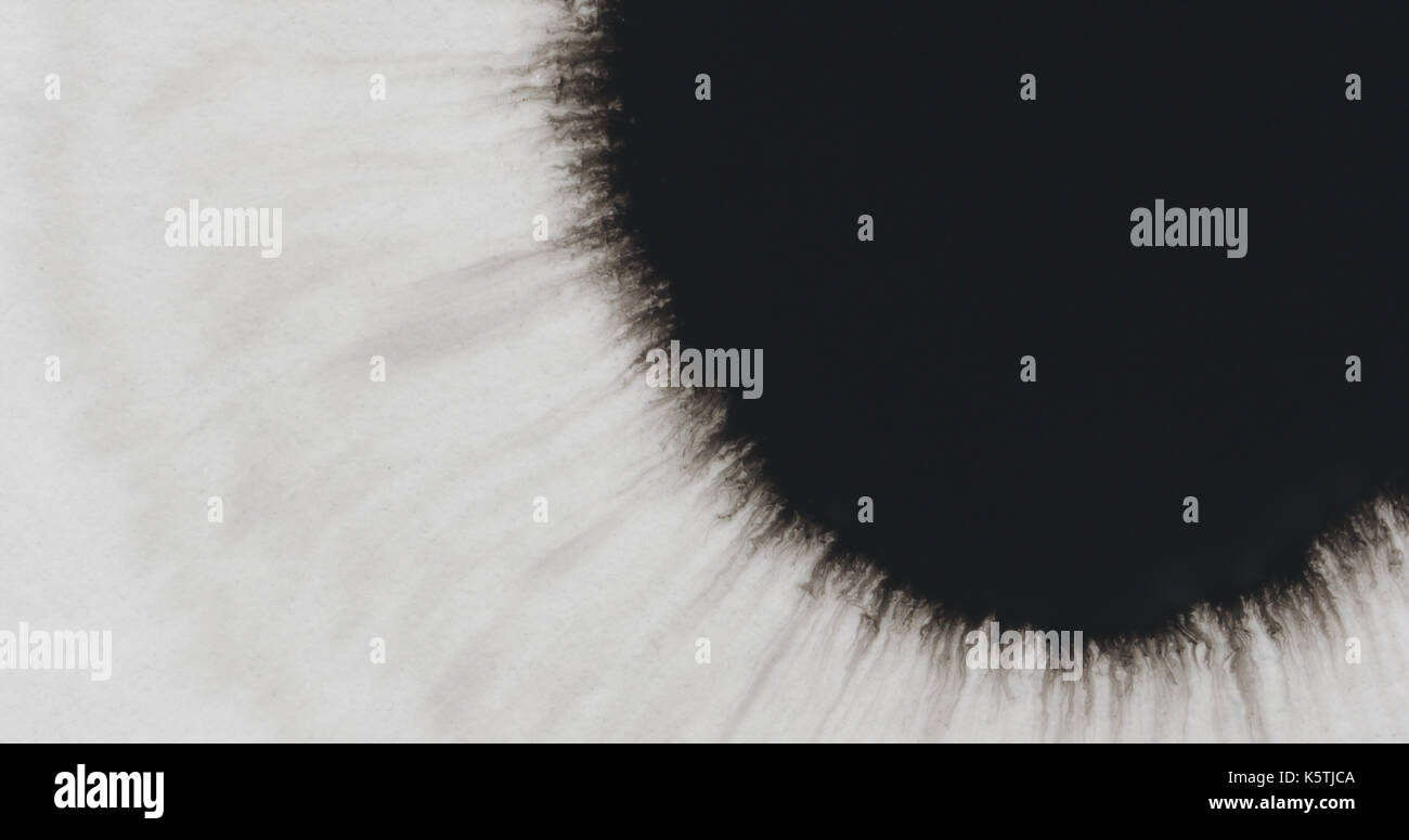 closeup black ink corner spreading on wet paper top view, wide photo ...