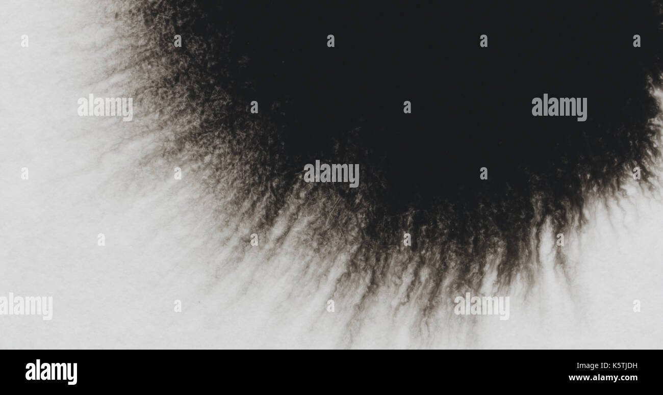 closeup black ink corner spreading on wet paper top view, wide photo ...