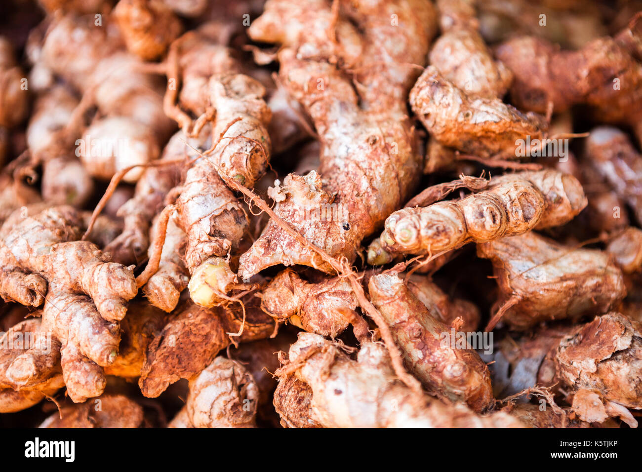 Tubers and roots hi-res stock photography and images - Alamy