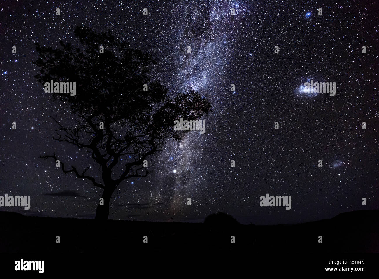 Milky Way in the African Night Sky, Acacia, Damaraland, Region Kunene ...