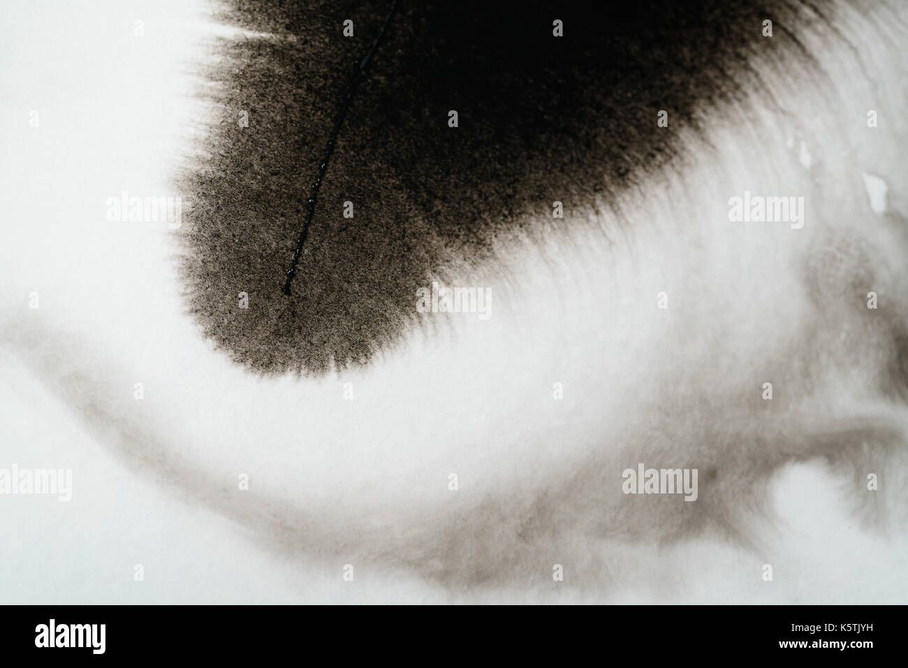 Black ink spill on white paper hi-res stock photography and images - Alamy