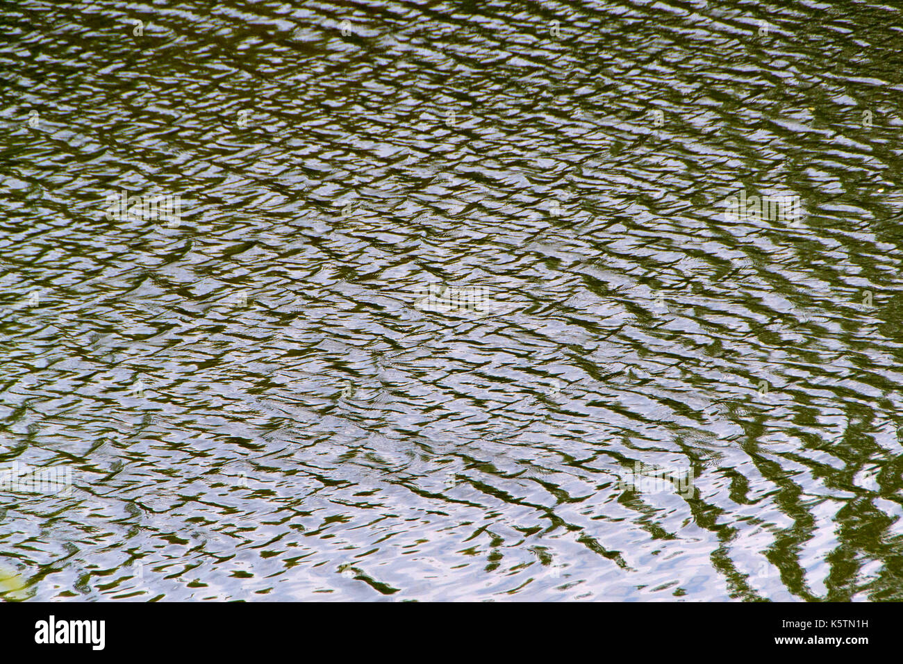 Close-up photography of river water surface. Water texture Stock Photo ...