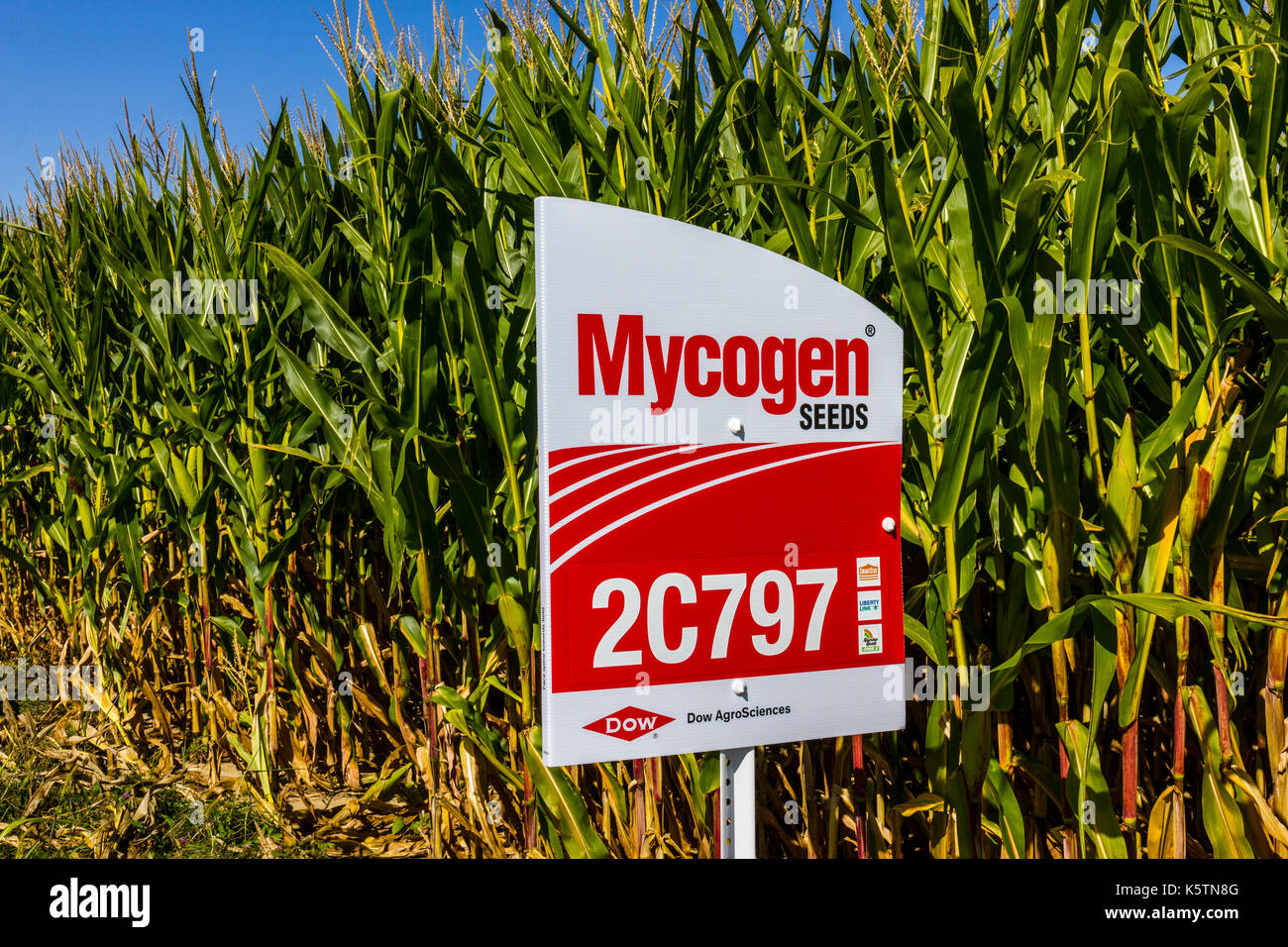 Mycogen hi-res stock photography and images - Alamy
