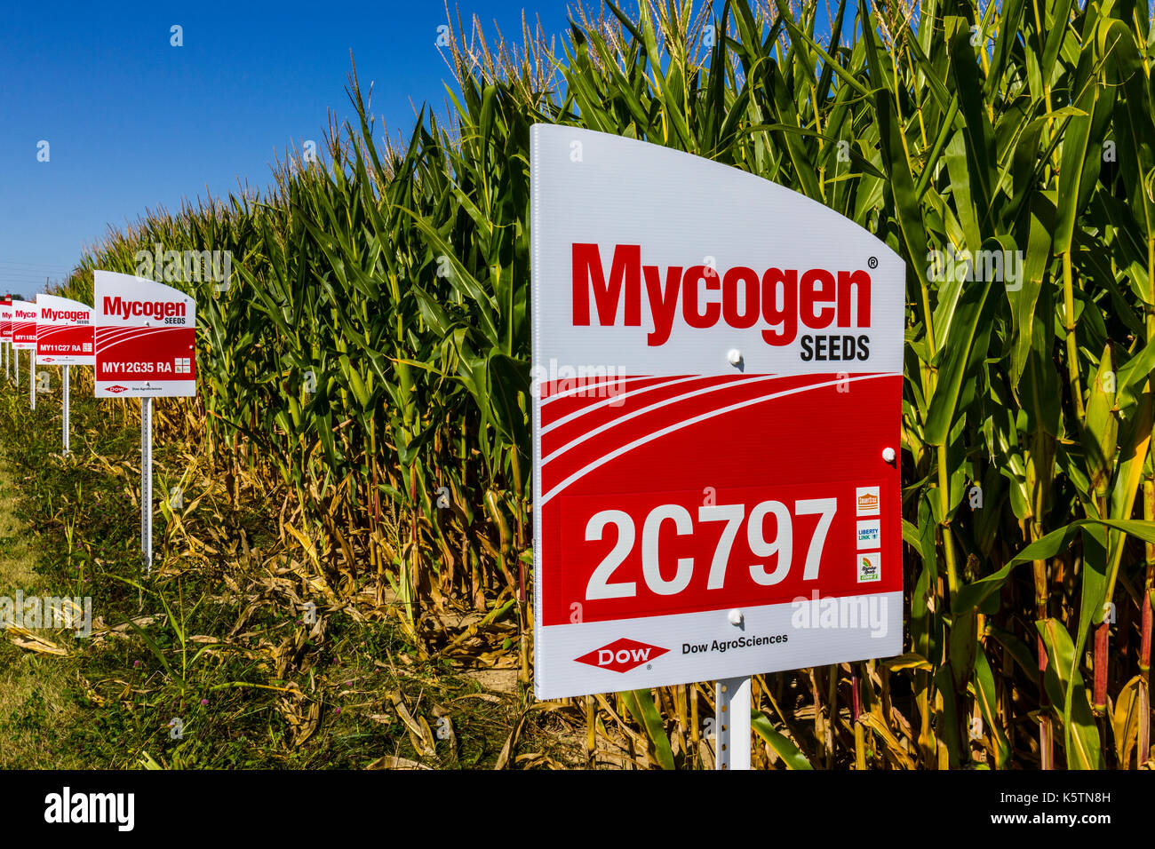 Indianapolis - Circa September 2017: Mycogen Seeds Signage in a corn ...