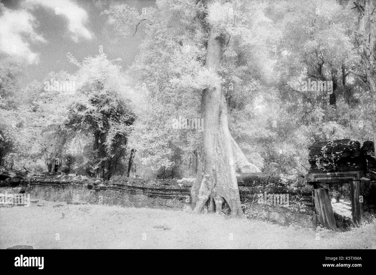 Courtyard of angkor wat temple Black and White Stock Photos & Images ...