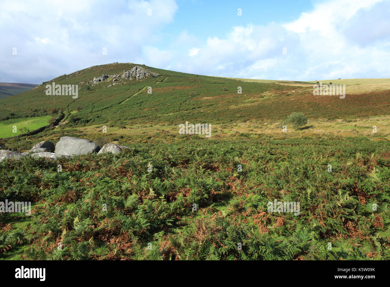 Bell Tor, Dartmoor, Devon, England, UK Stock Photo - Alamy