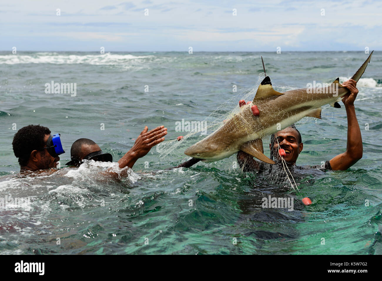 Korafe tribe, fishermen with speared Blacktip reef shark (Carcharhinus ...