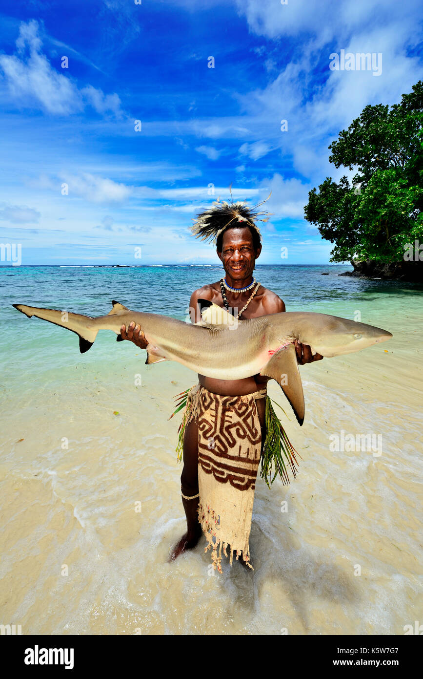 Papua new guinea tribe tree hi-res stock photography and images - Alamy