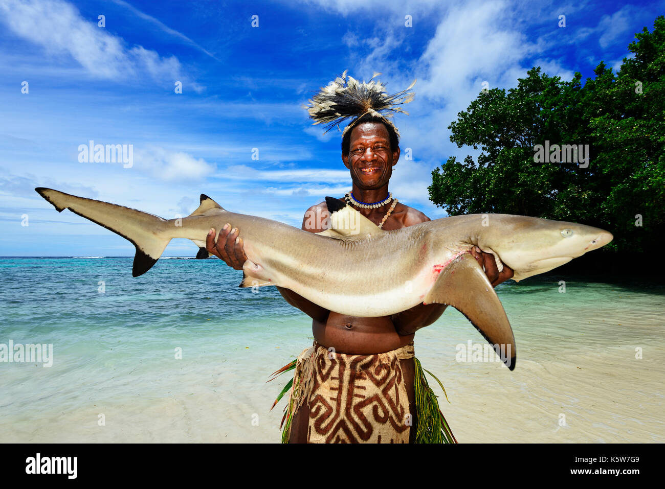 Papua new guinea tribe tree hi-res stock photography and images - Alamy