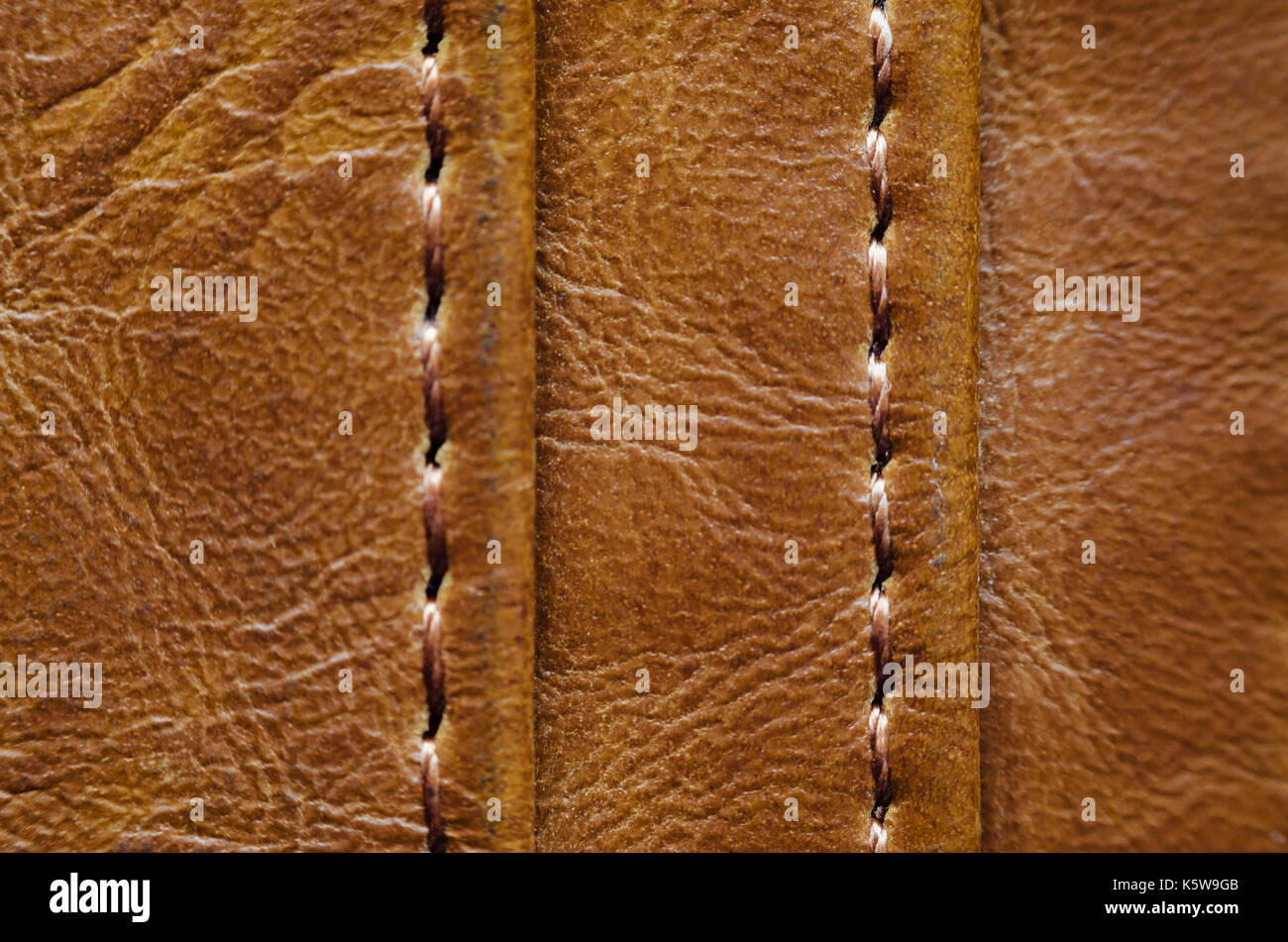 Stitches Skin Stock Photos & Stitches Skin Stock Images - Alamy