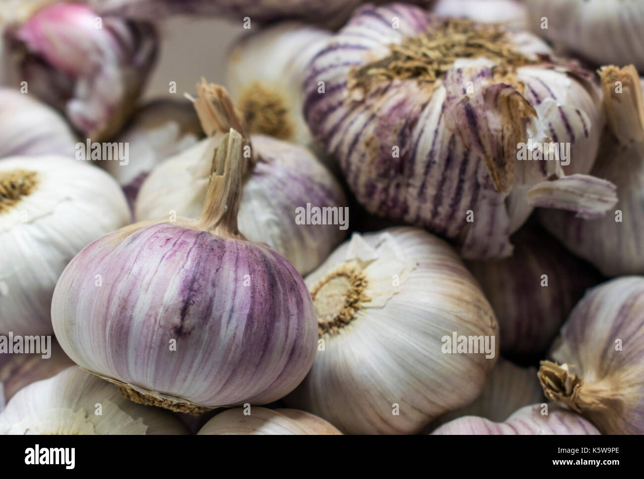 Many whole purple Garlic inside of a basket Stock Photo - Alamy