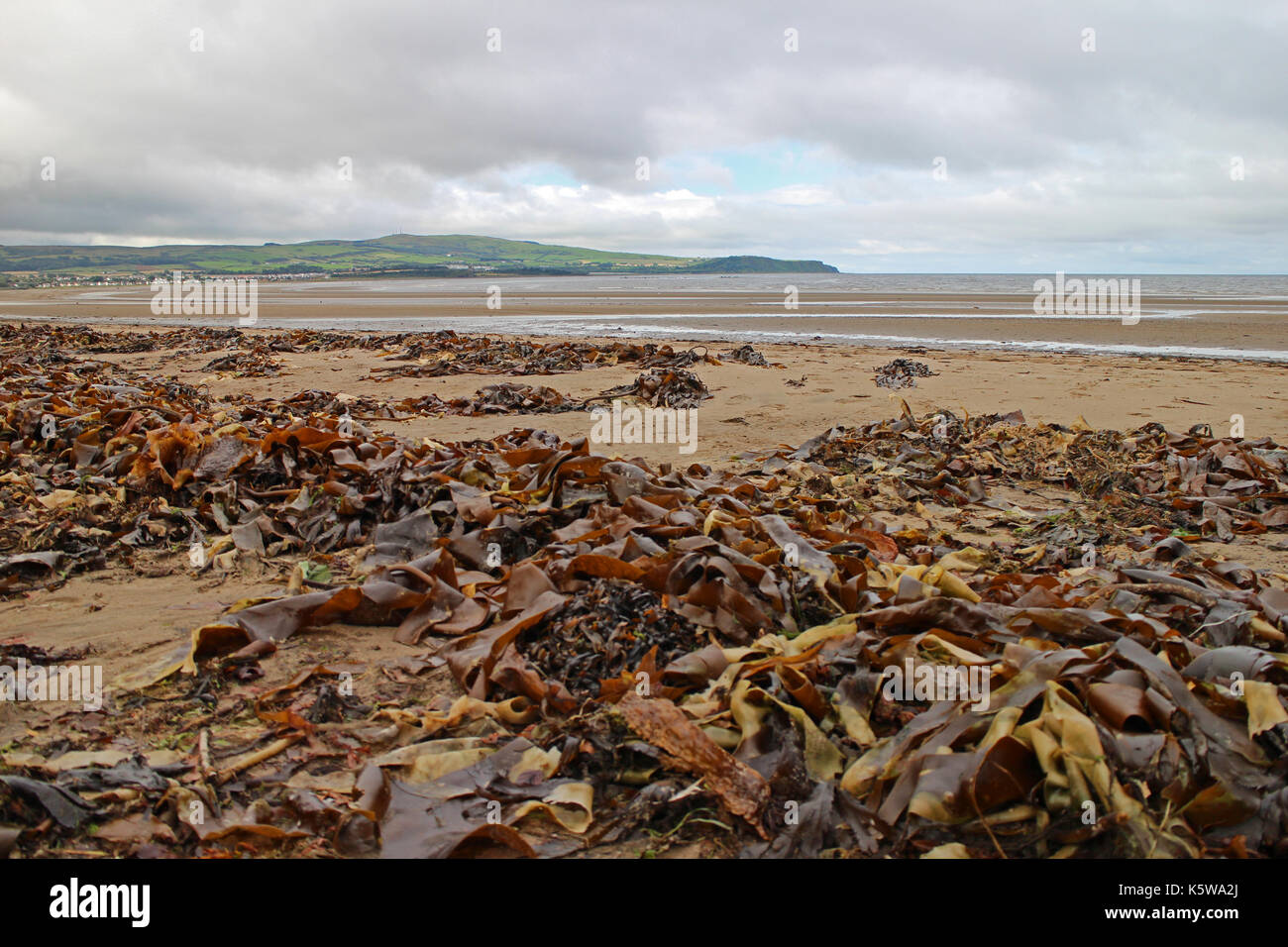 Ayr beach hi-res stock photography and images - Alamy