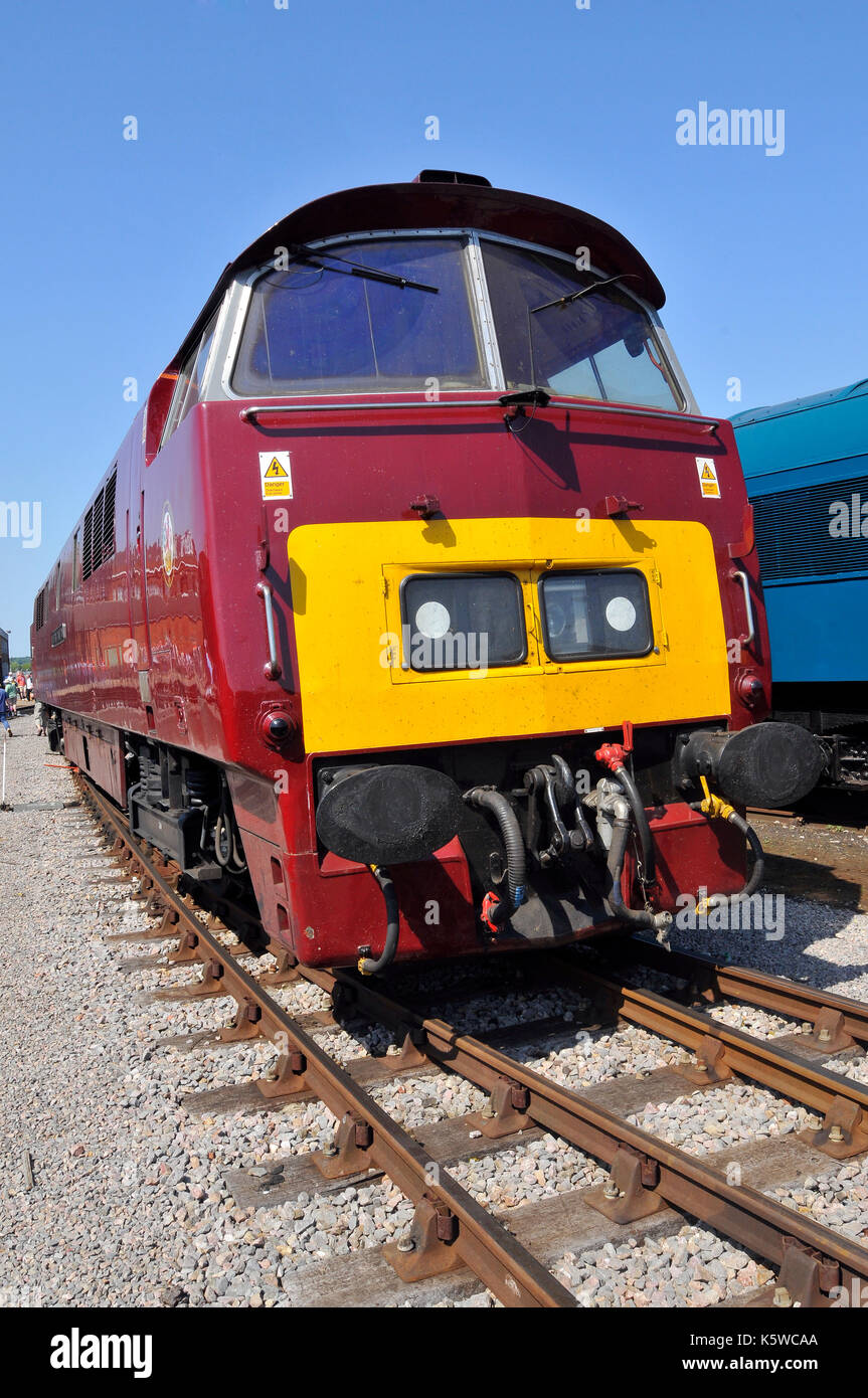 Diesel and electric trains locomotives and multiple units traction ...