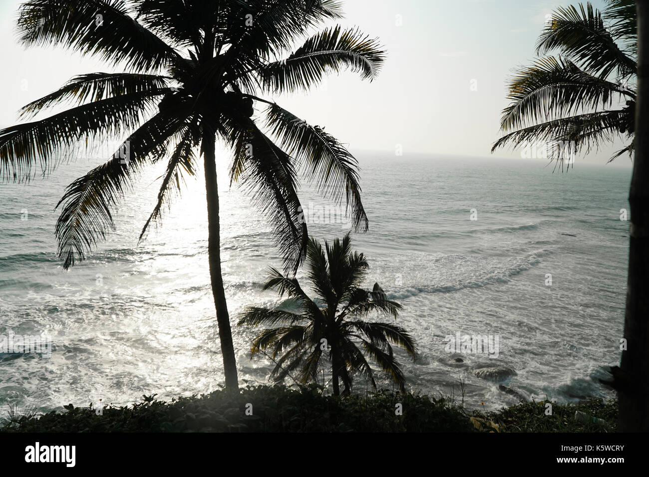 Trees coconut clouds on sun hi-res stock photography and images - Alamy