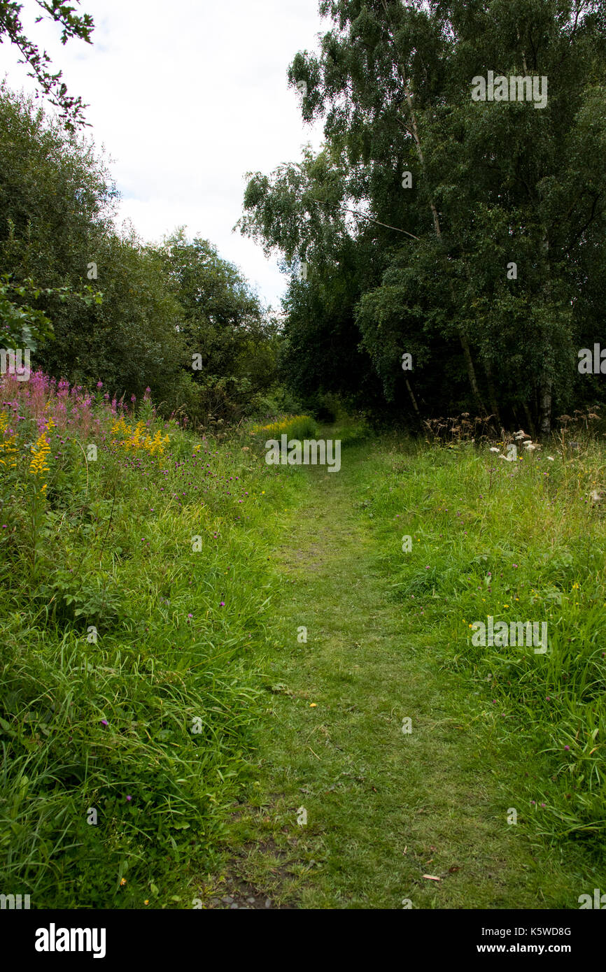 English nature reserve hi-res stock photography and images - Alamy