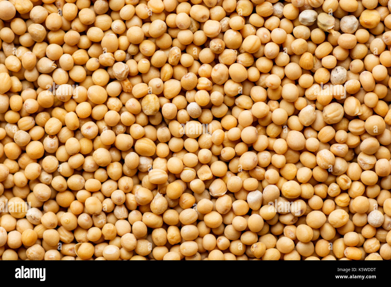 Close up mustard seed background Stock Photo - Alamy